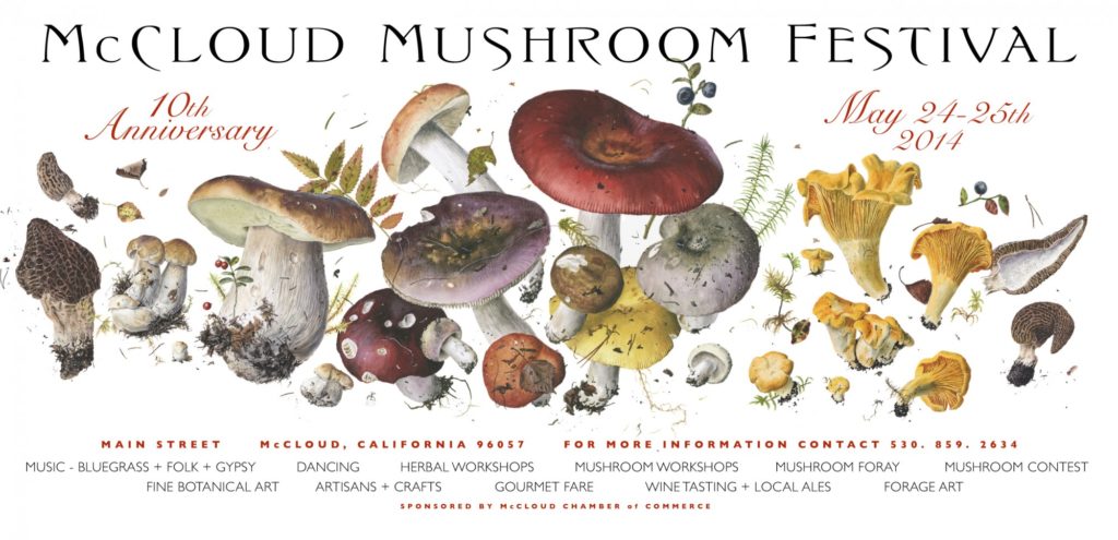 First Festival of the Year - Mushroom Fair - May 24 & 25